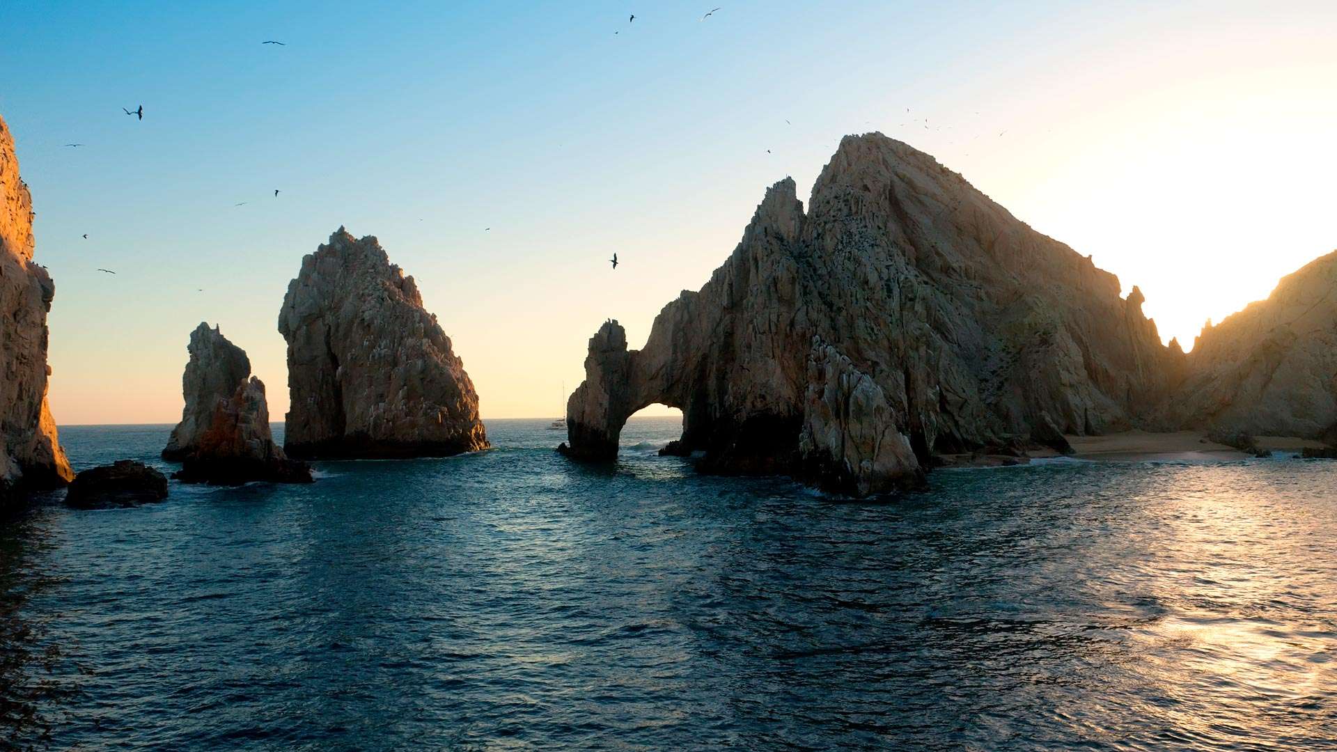 Best time of year to visit according to Cabo Weather | Blog
