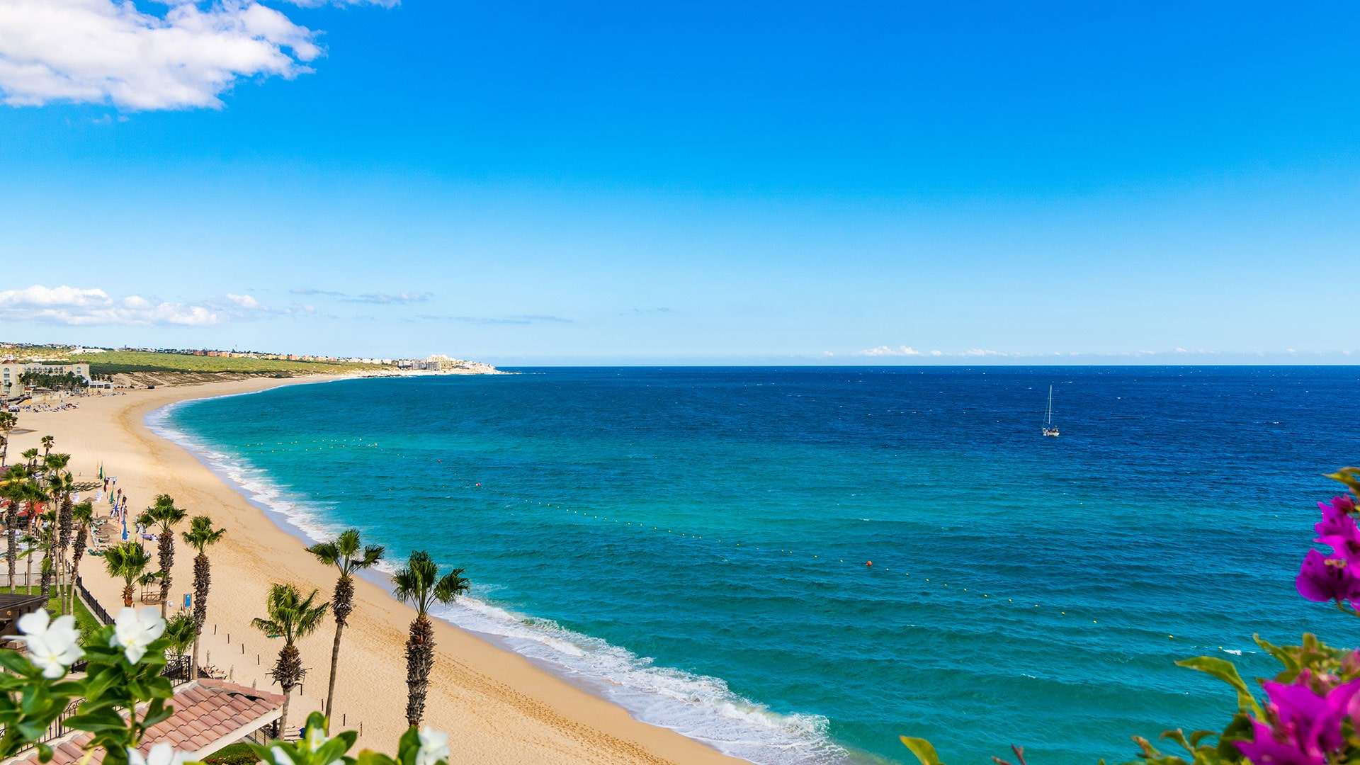 Los Cabos Blog: Travel Guide and Things to do in Cabo